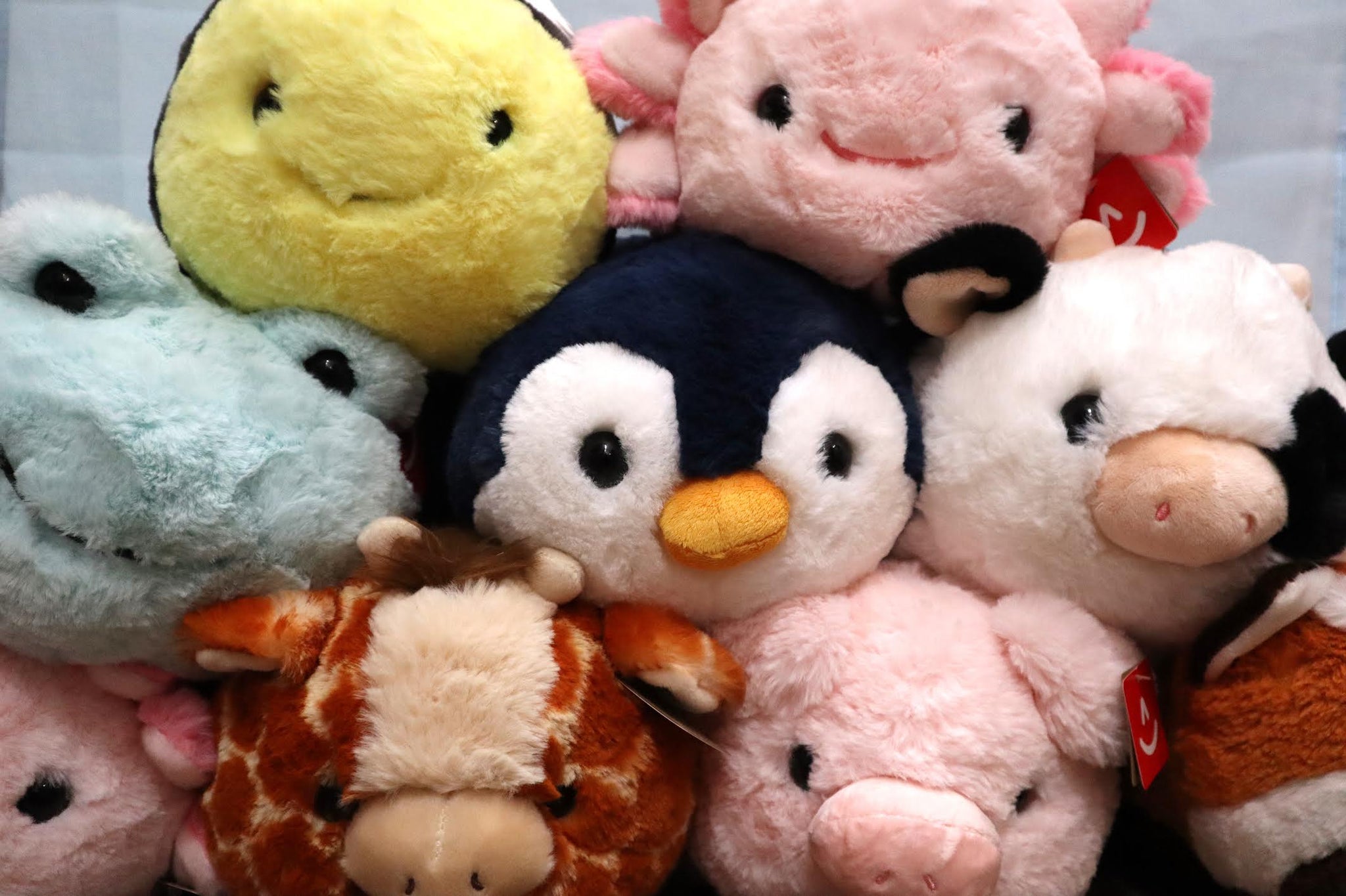 Meet the Spudsters! – Kawaii Gifts