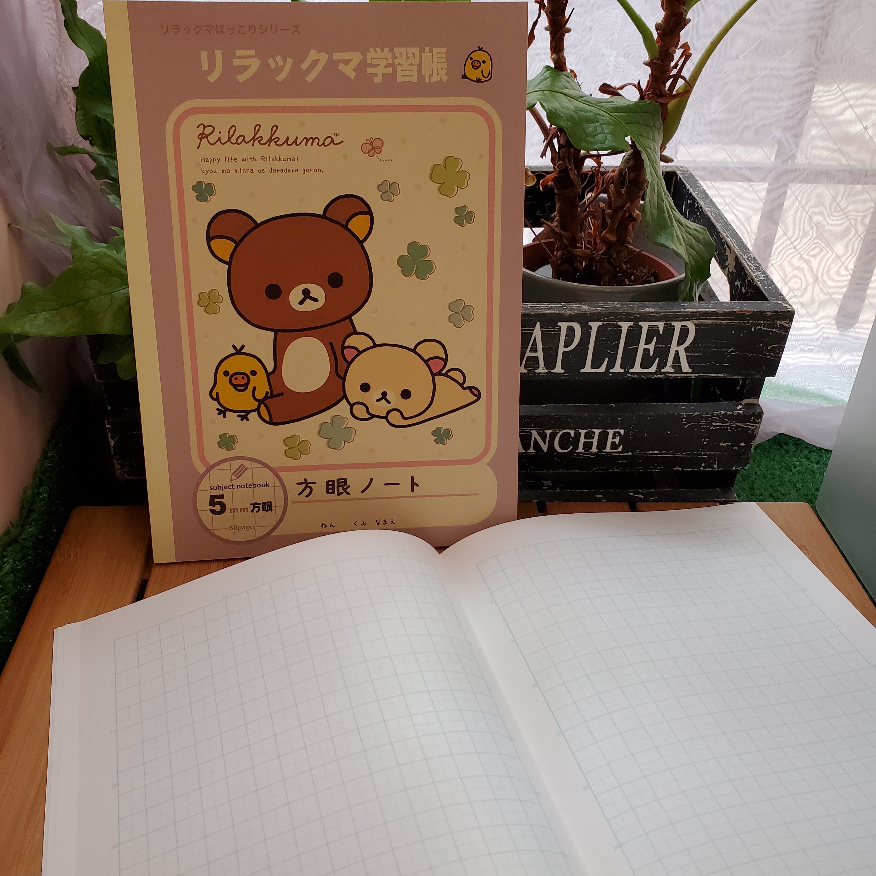 Kanji Notebook – Kawaii Gifts